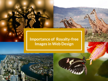 Royalty-Free Images - Everything You Need to Know