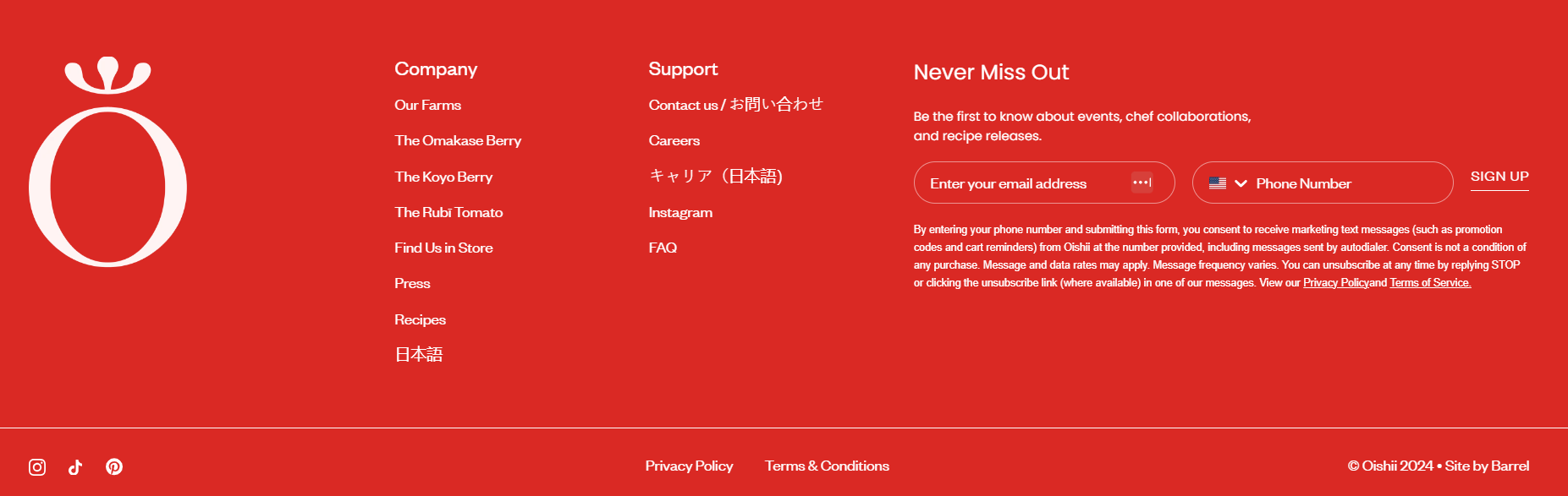 Best Website Footers: Top 15 Designs To Inspire You